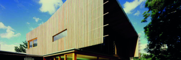 TLB Timber - Supporting Sustainable Management Of Forest