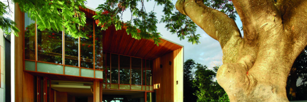 TLB Timber - Supporting Sustainable Management Of Forest